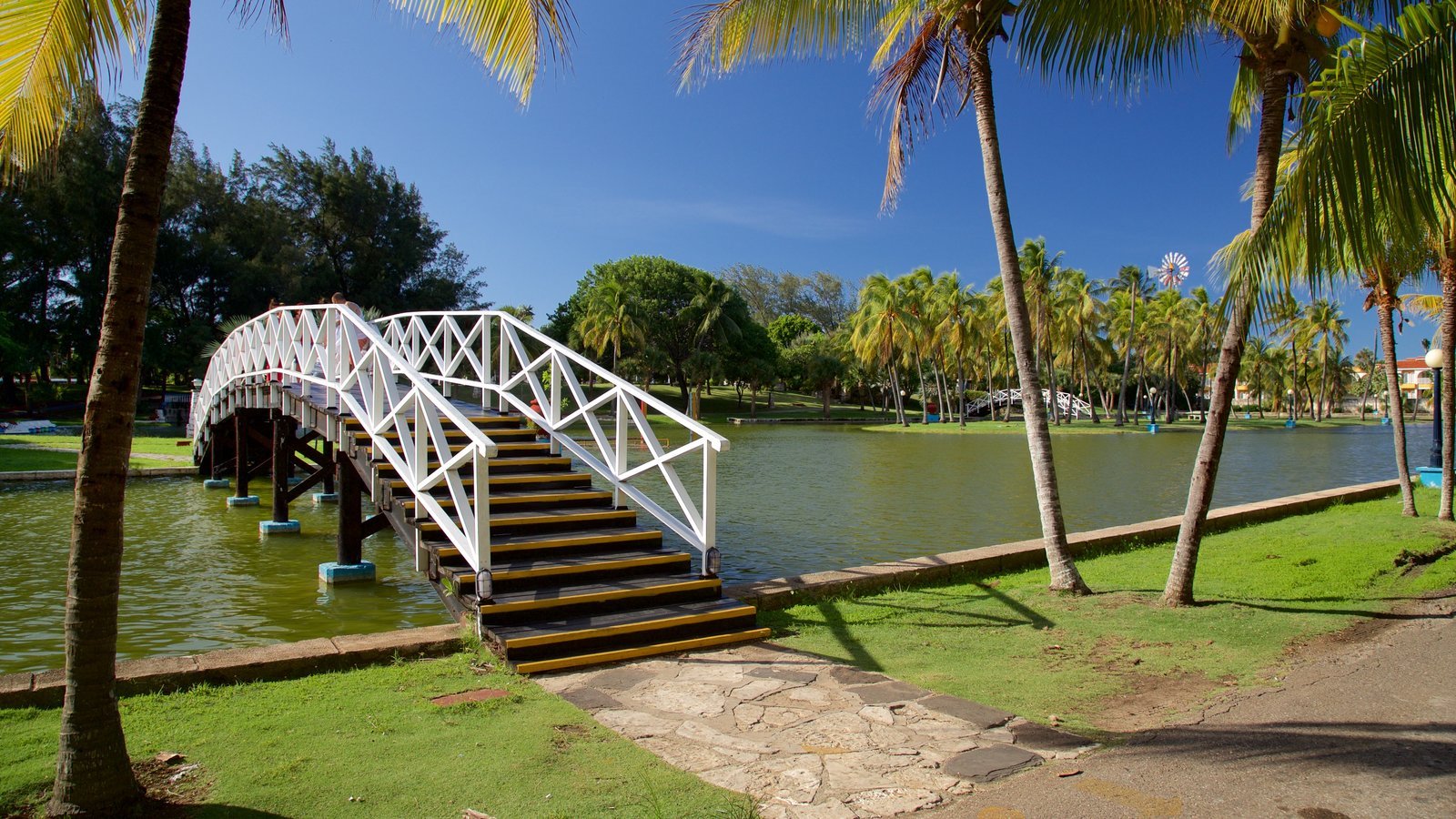 Varadero: Top things to discover outside the all-inclusive. | Havana 60